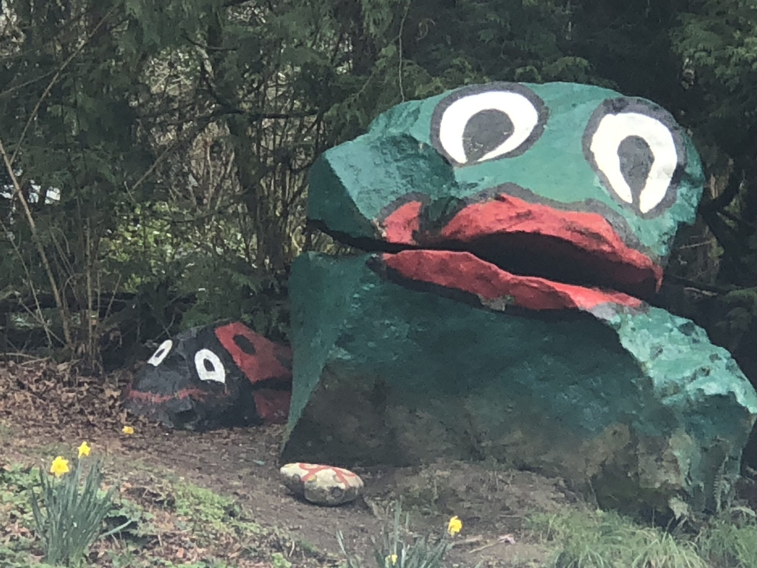 ISLAND STORIES: FROG ROCK by Mike Djordjevich | IGAL